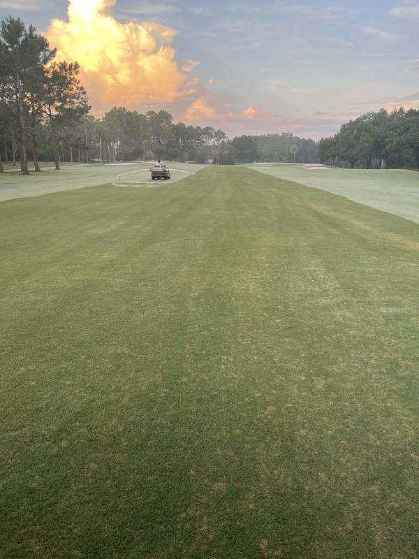 Dew sweepers | Lawn Care Forum