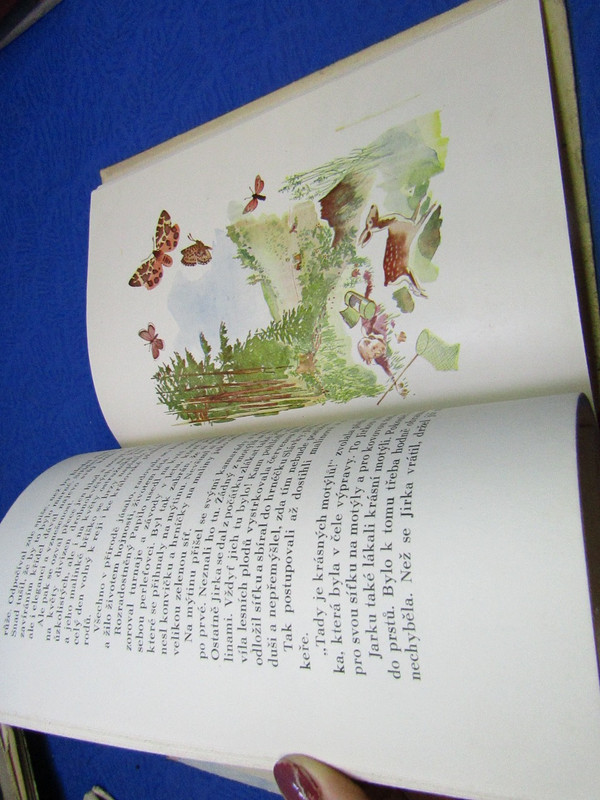 IMG 8498 — Postimages