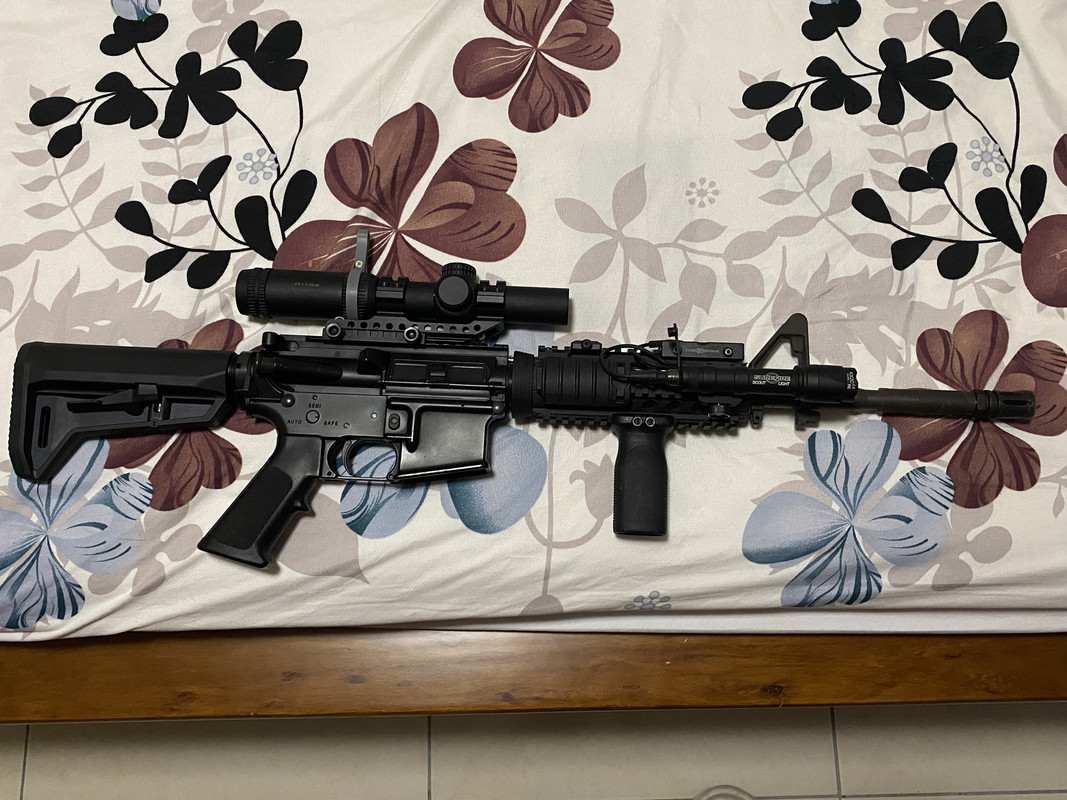 IMG 3567 — Postimages