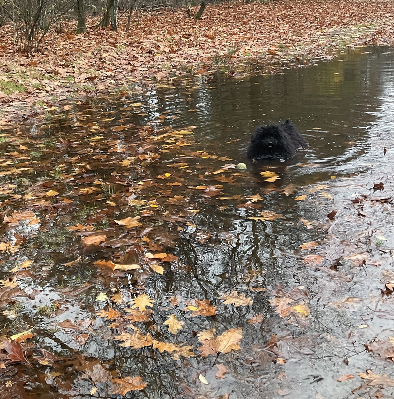 IMG 2332 — Postimages