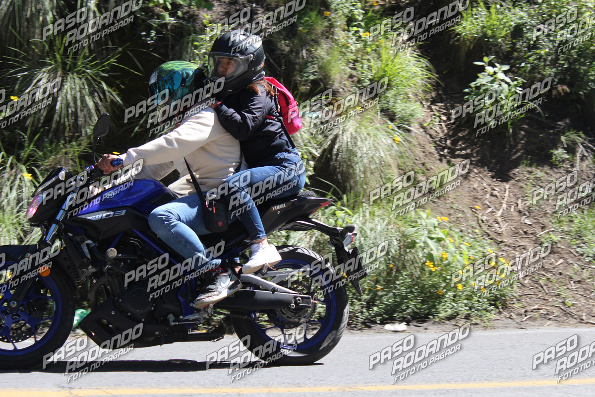 IMG 4153 wm 2422484 8 watermarked — Postimages