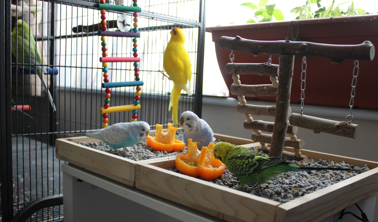 20230704102635 IMG 0251 — Postimages