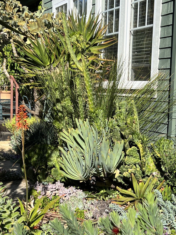 IMG 8375 — Postimages