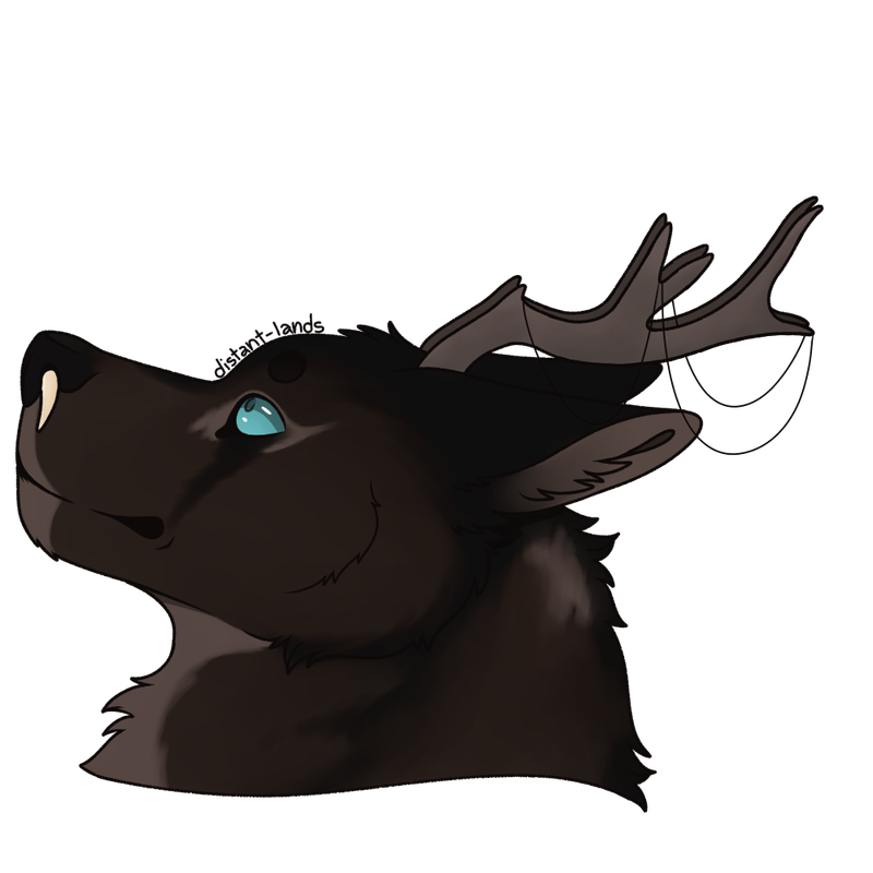 export202310292120553660 — Postimages