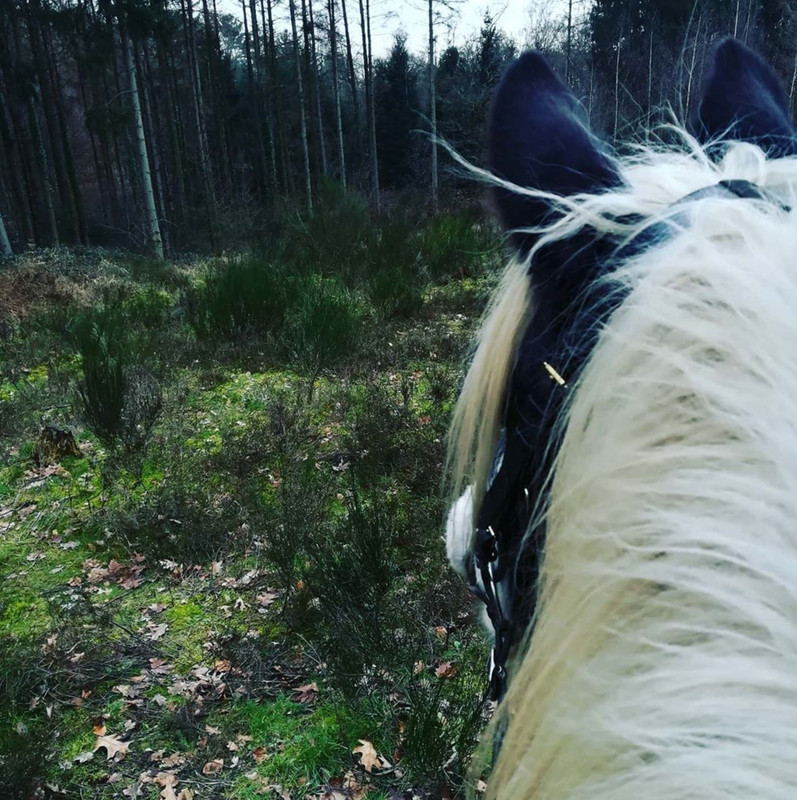 Skyla wind — Postimages