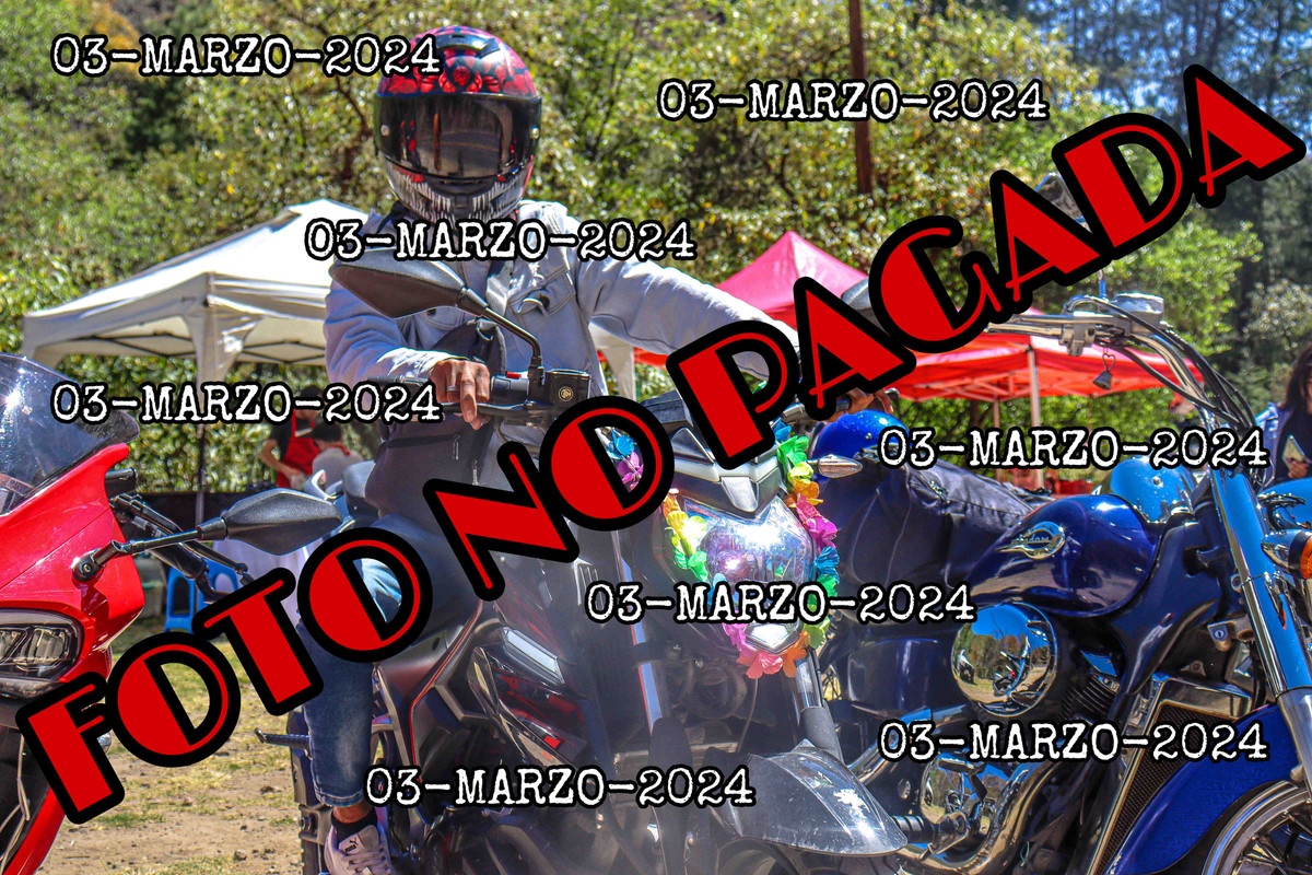 SC 125 — Postimages