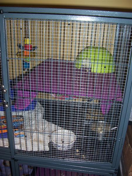 7 Medium — Postimages