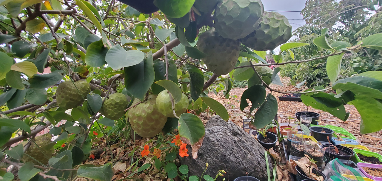 20230627 194331 — Postimages