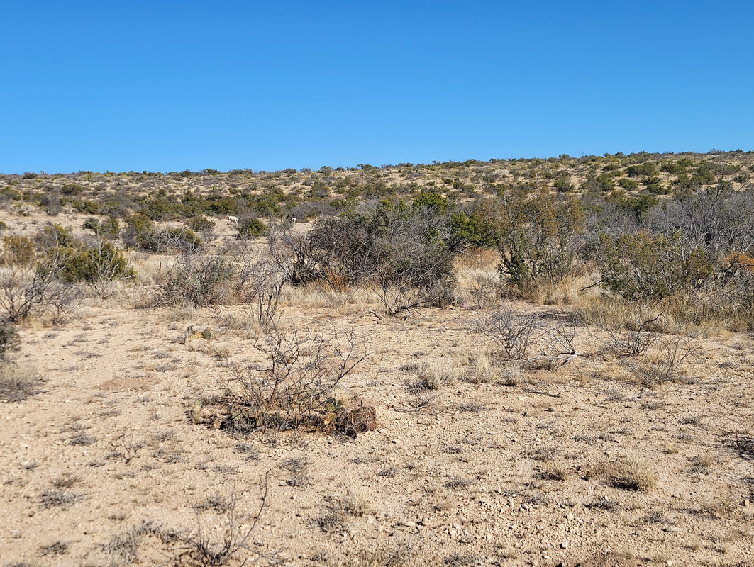 20250222 154600 2 — Postimages