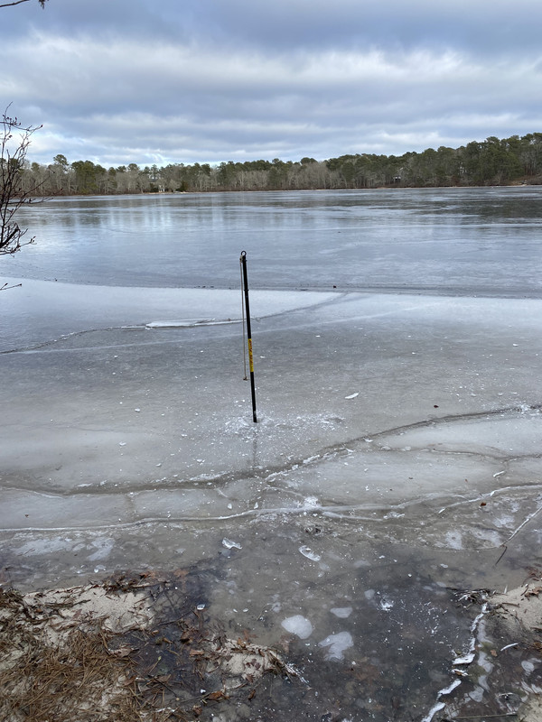 IMG 4646 — Postimages