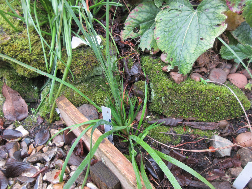 IMG 0610 — Postimages