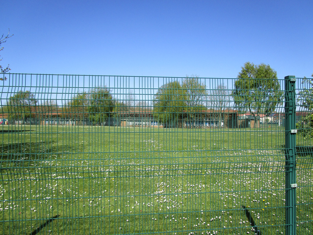 Netherton Moss Primary School - Bootle Times News