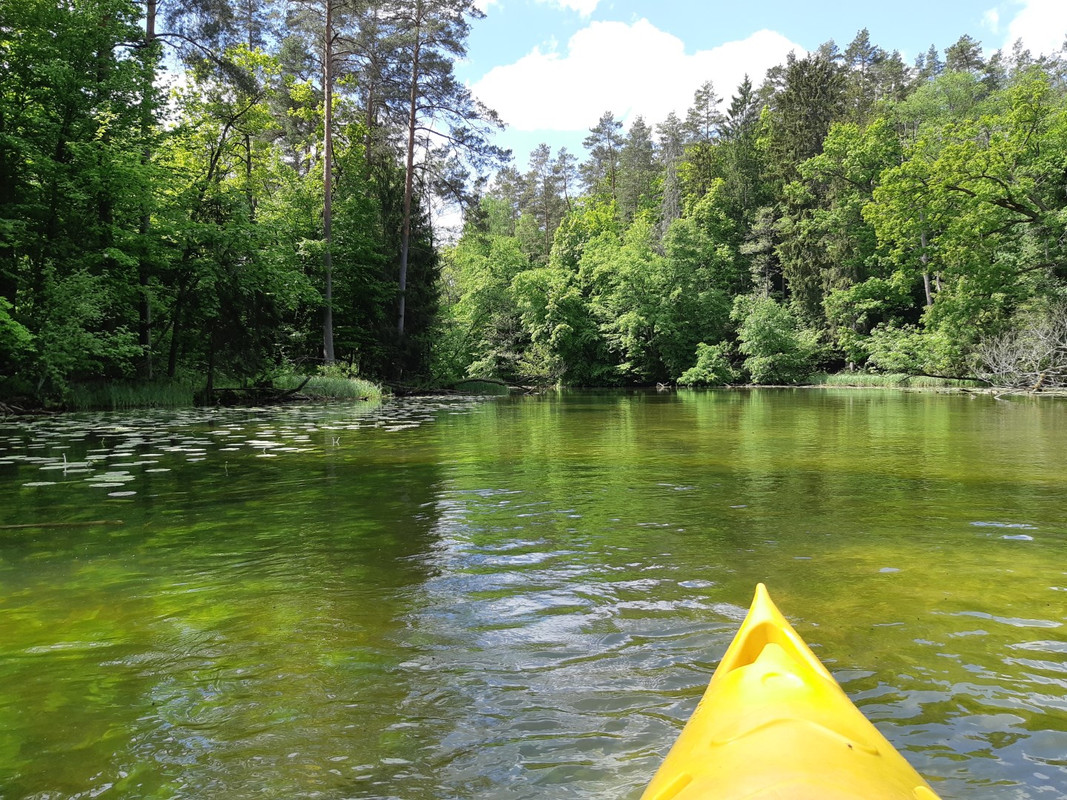 05 06 20210602 112750 ( Pi TT) — Postimages