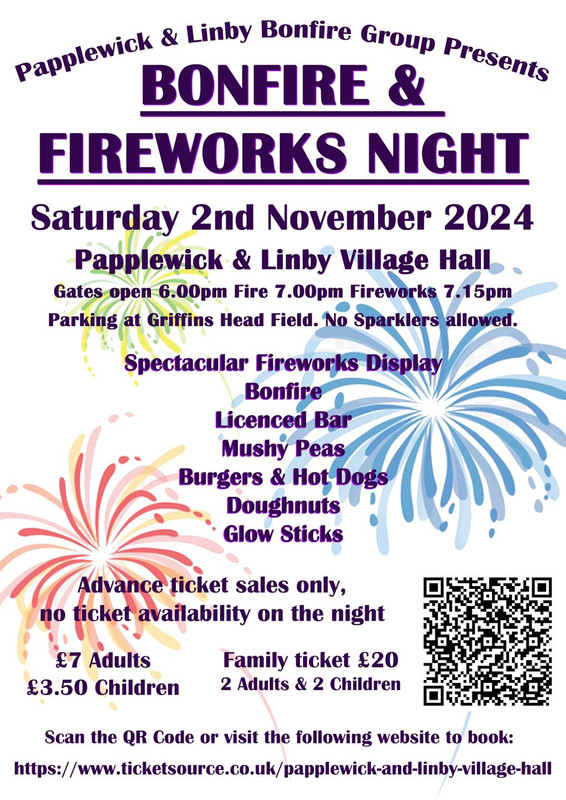 Bonfire Night and firework events in Nottingham 2024 | Skiddle