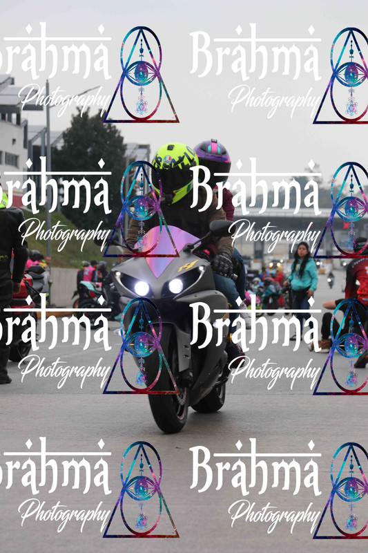 IMG 1545 — Postimages