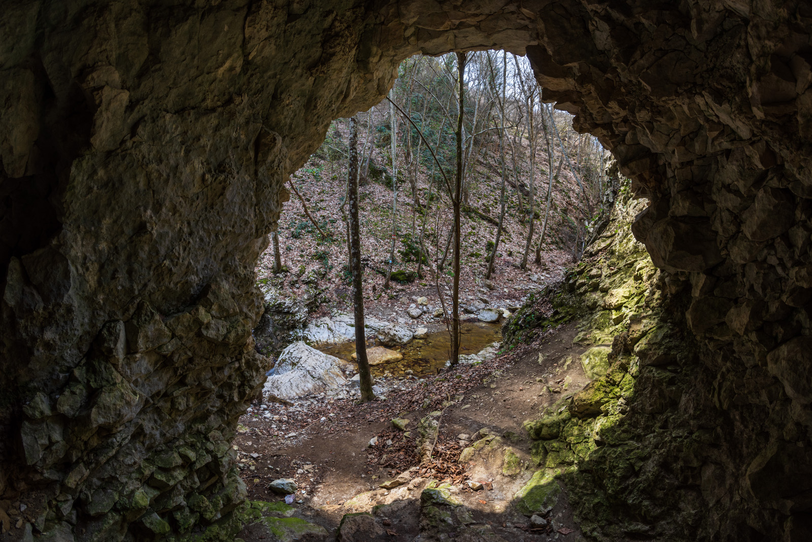 V0001002 1600 — Postimages