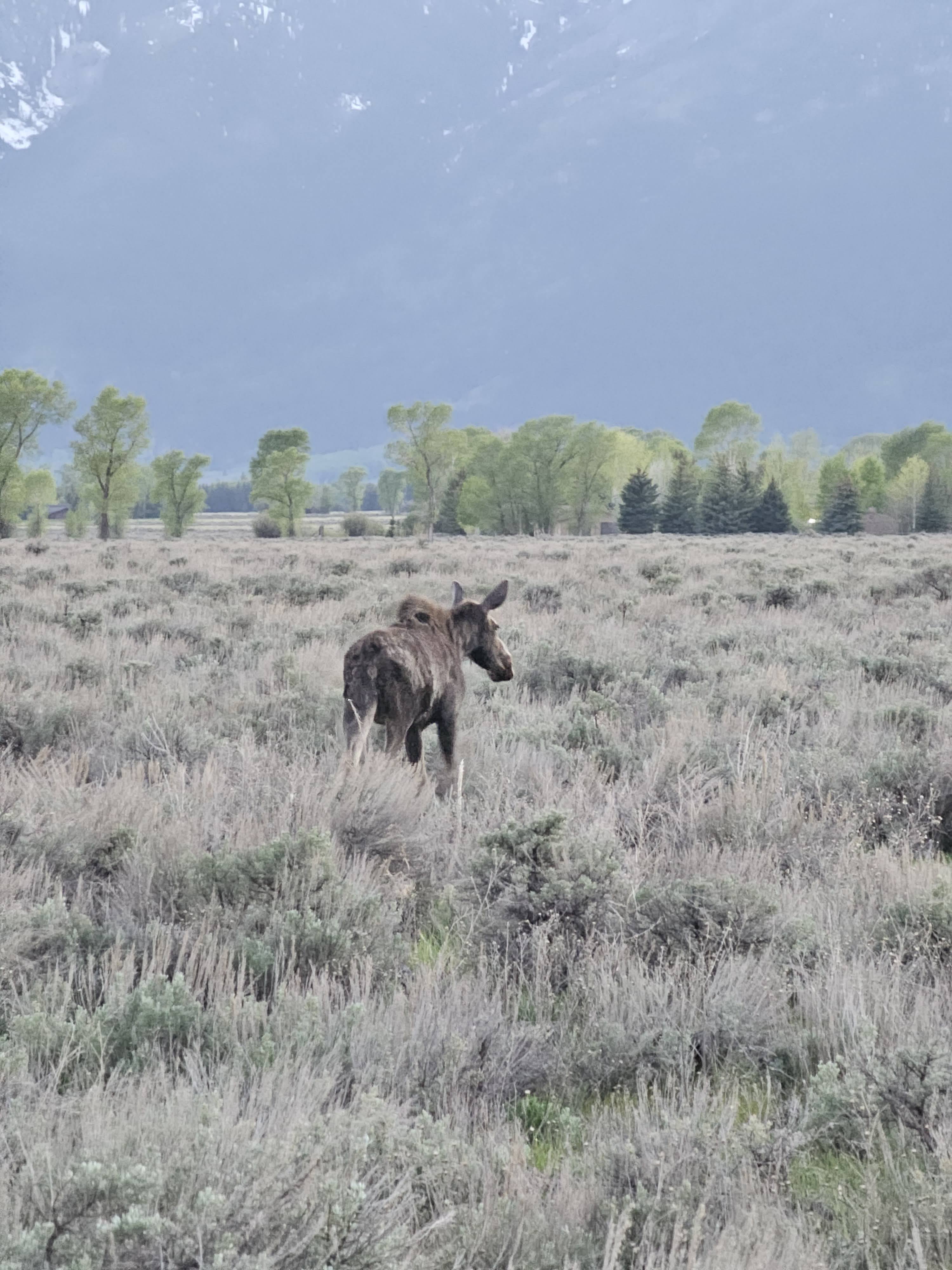 76 (1) — Postimages