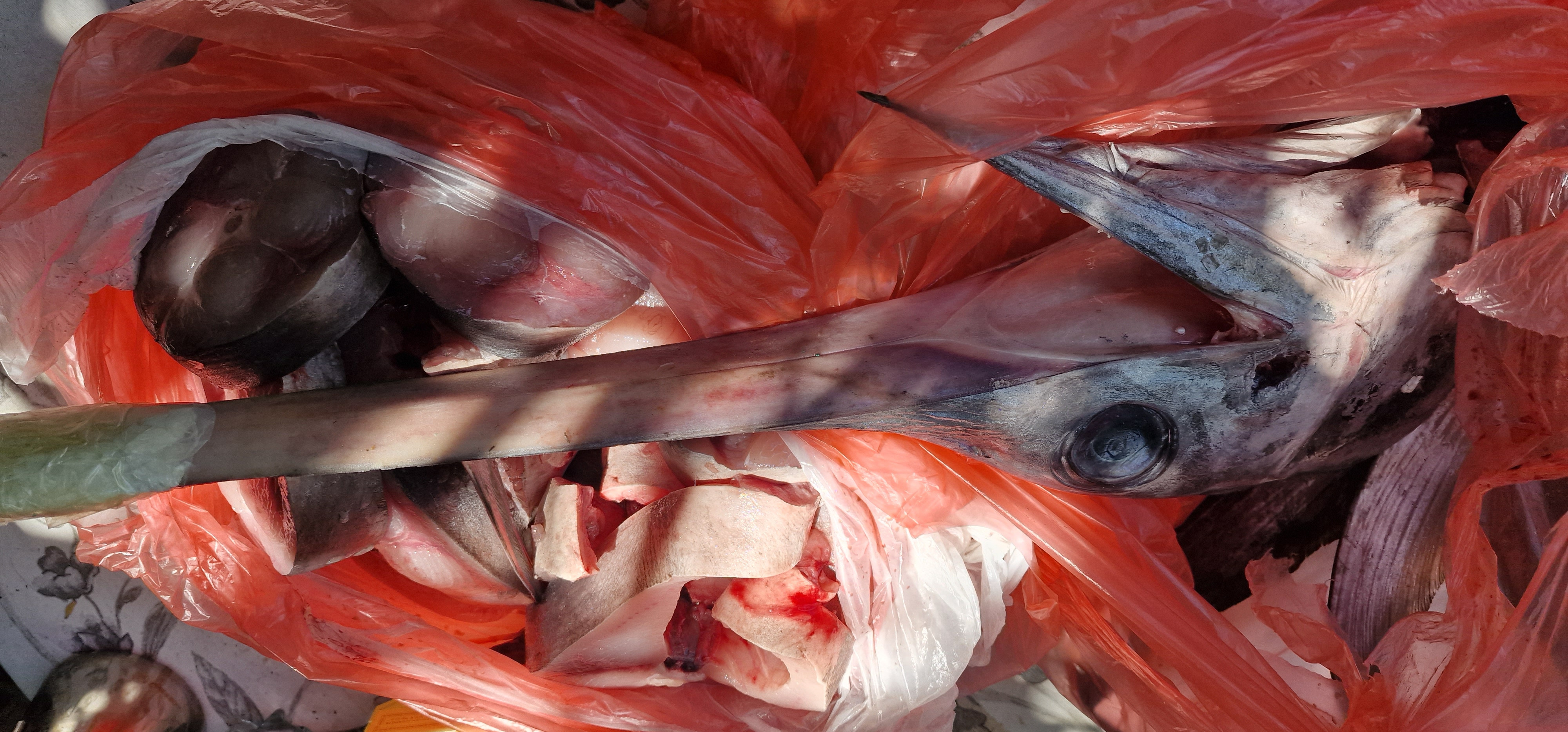 20250626 120154 — Postimages