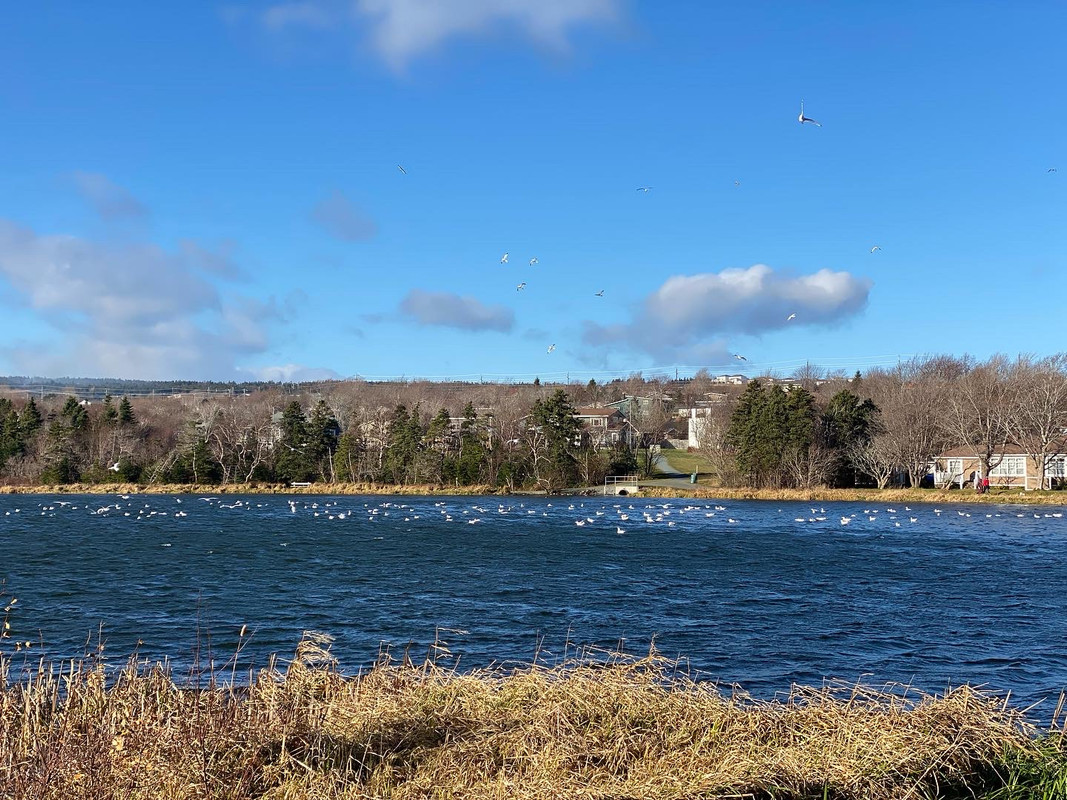 1604 D0 F4 27 C8 443 C 9 A43 59779923 B175 — Postimages