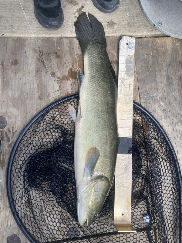 BDA08 B19 8977 4 F1 B 88 D2 517 C9 B577 A1 A — Postimages