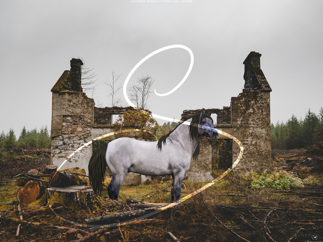 andrew ridley 4d PHQvi Rb Wo unsplash copy — Postimages