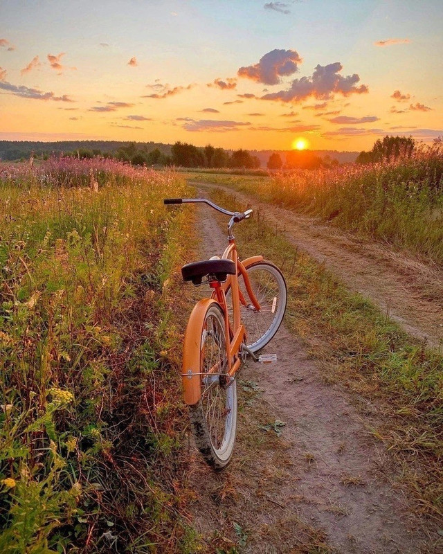 IMG 20230701 171626 476 — Postimages