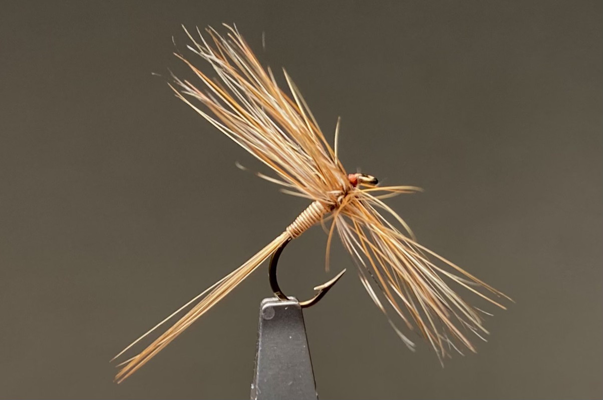 Grey Fox Variant - The Classic Fly Rod Forum