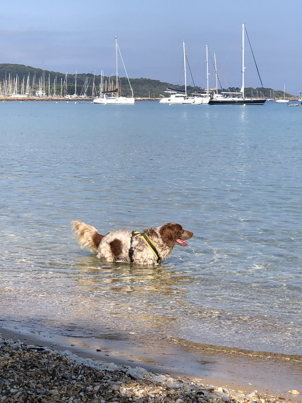 IMG 1502 — Postimages