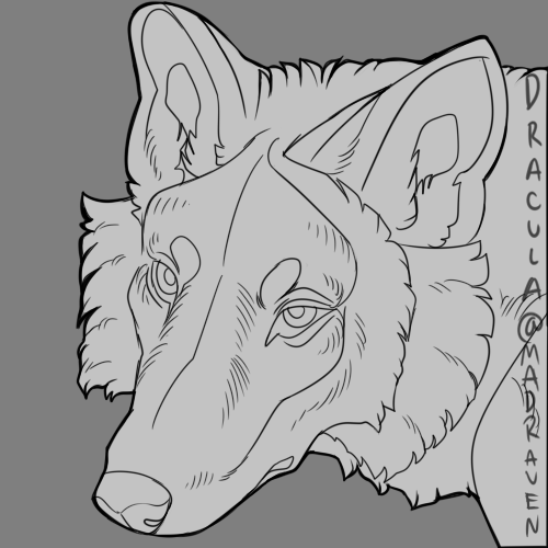 💥YWH icon! + NEW LION ICON! |:| Wolvden