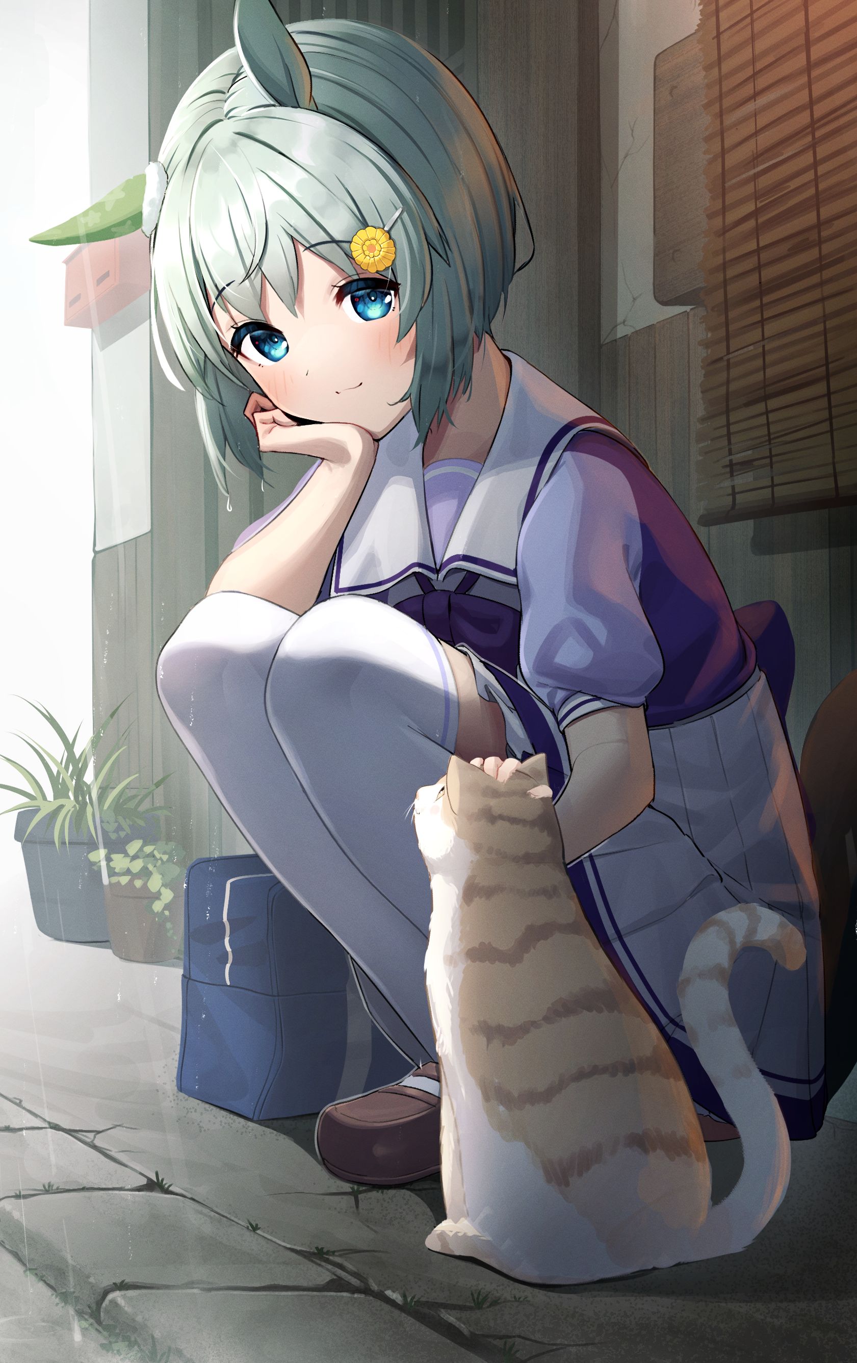 seiun sky umamusume drawn by takom 3c88b39837c0e8635aa335e8dc679245 1 — Postimages