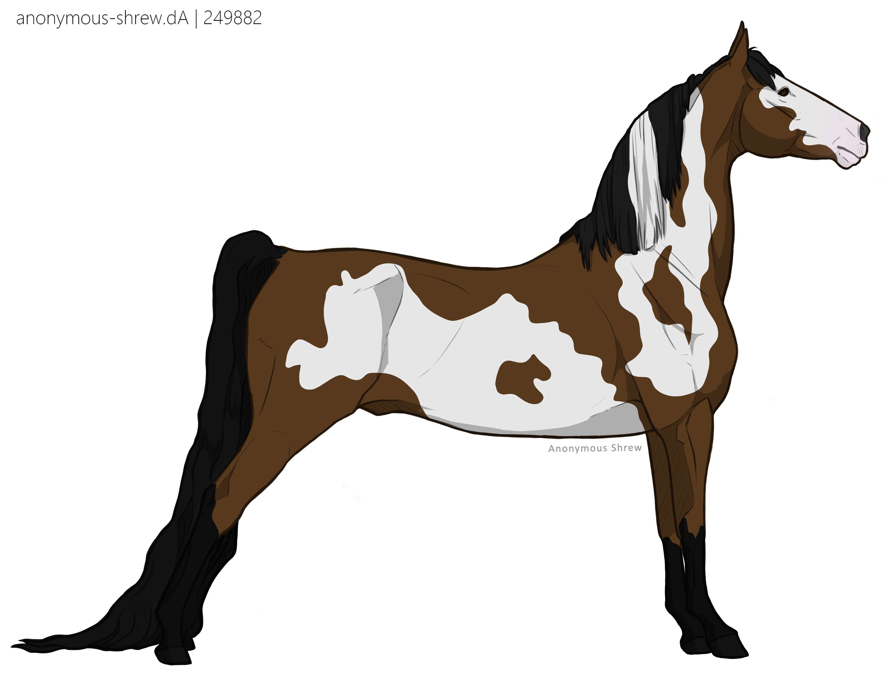 Paint — Postimages