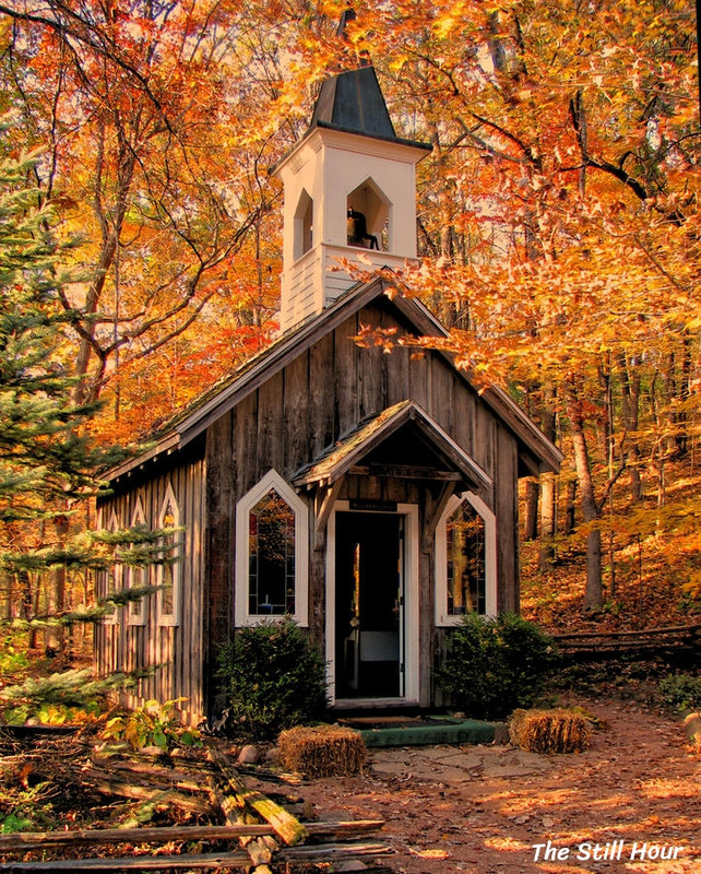 December 29th - 2025 Presidential Politics - Trump Administration Day ...