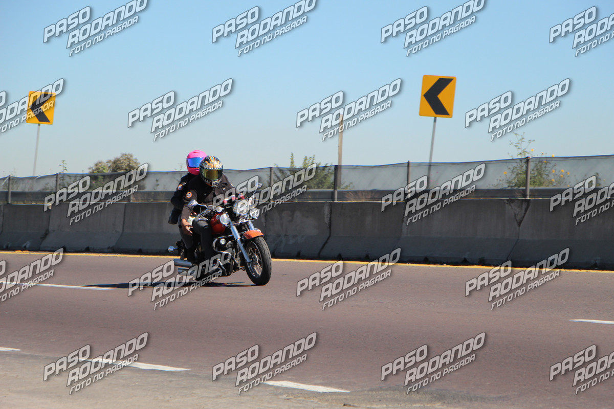 IMG 3346 wm 9840092 899999999 watermarked — Postimages