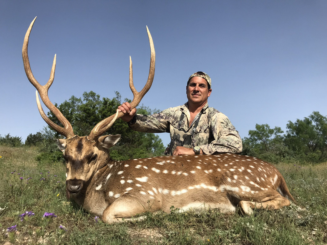 ? on 7-08 120NBT on large body 200+ lb deer... - 24hourcampfire