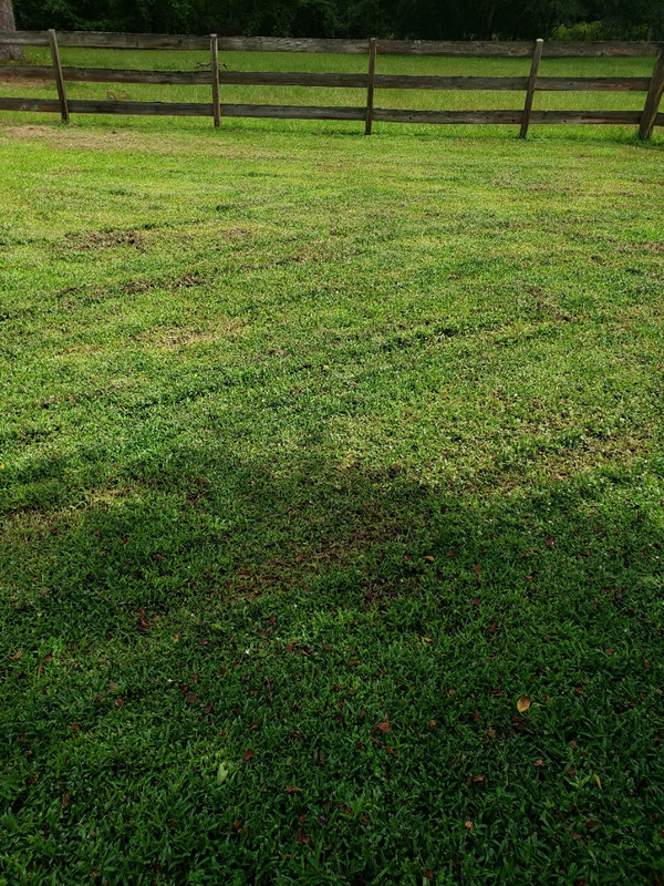 Lawn3 — Postimages