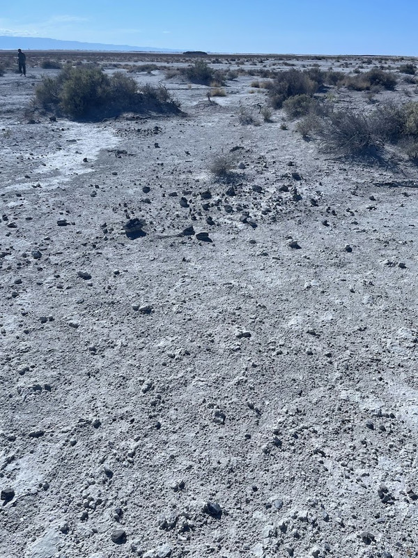 DGRVP-Absolute Mad Lads - Spymaster Garbo > General Discussion > AR15.COM