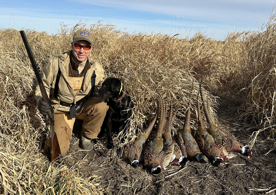 IMG 3870 — Postimages