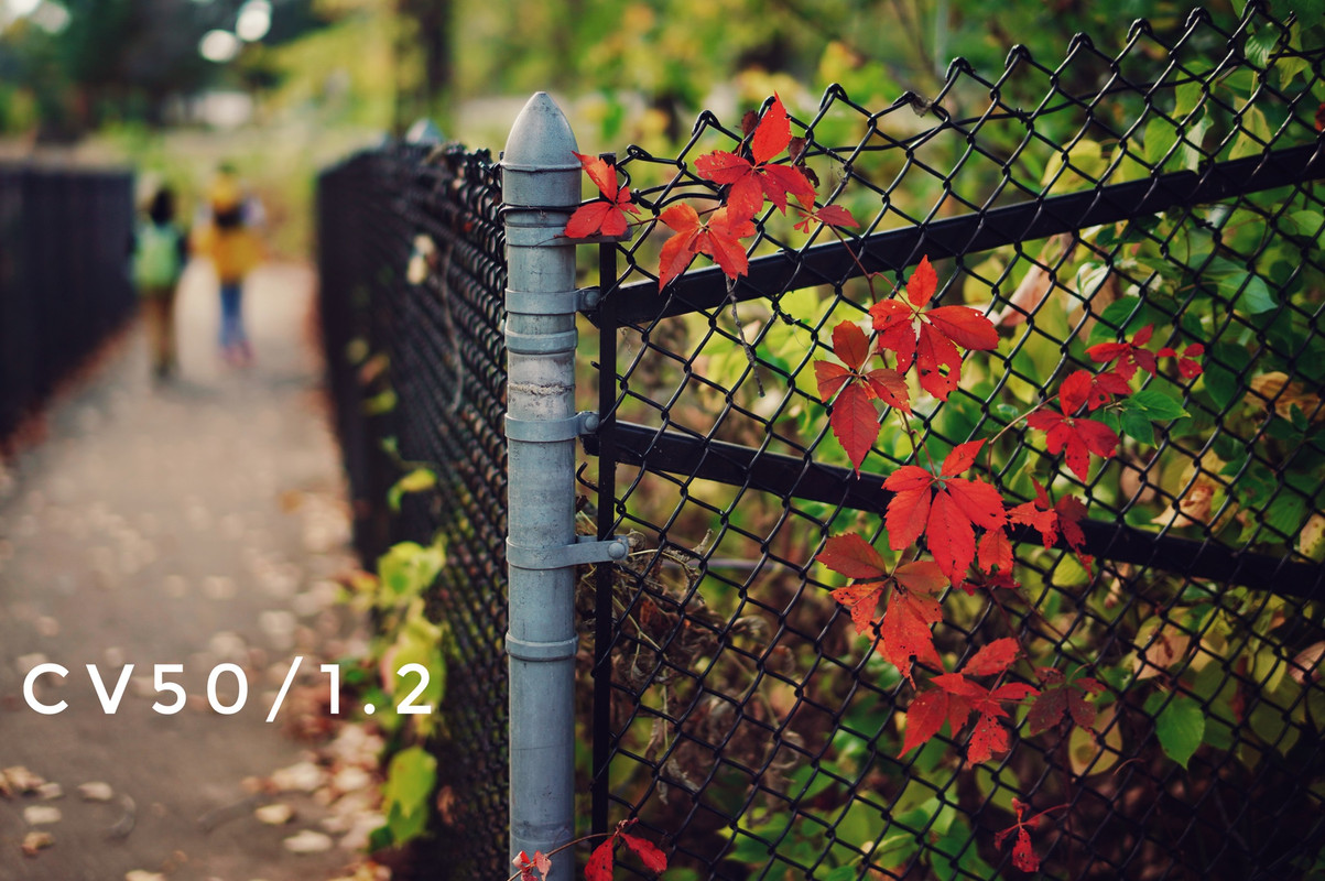 IMG 3844 — Postimages