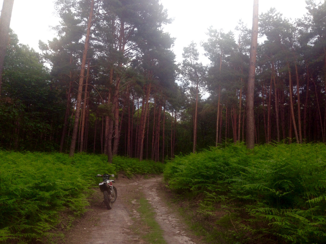 Full Size Render — Postimages