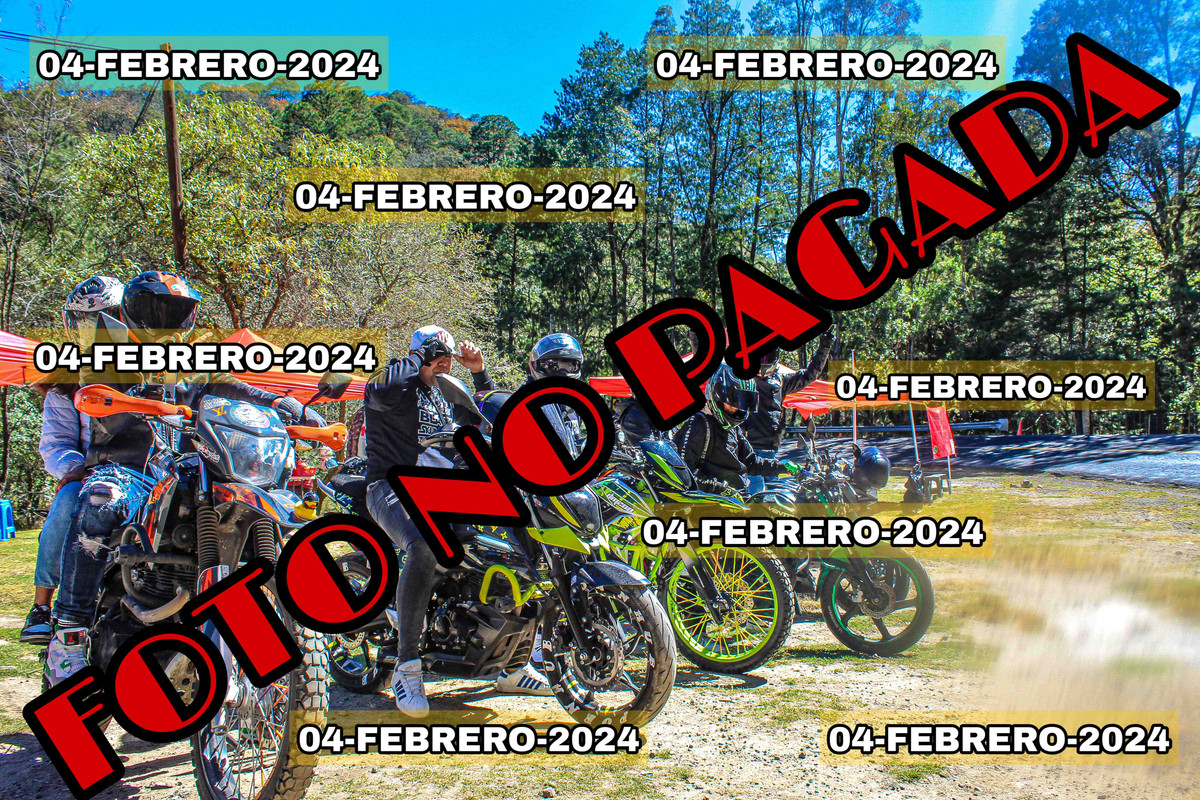 SC 141 — Postimages