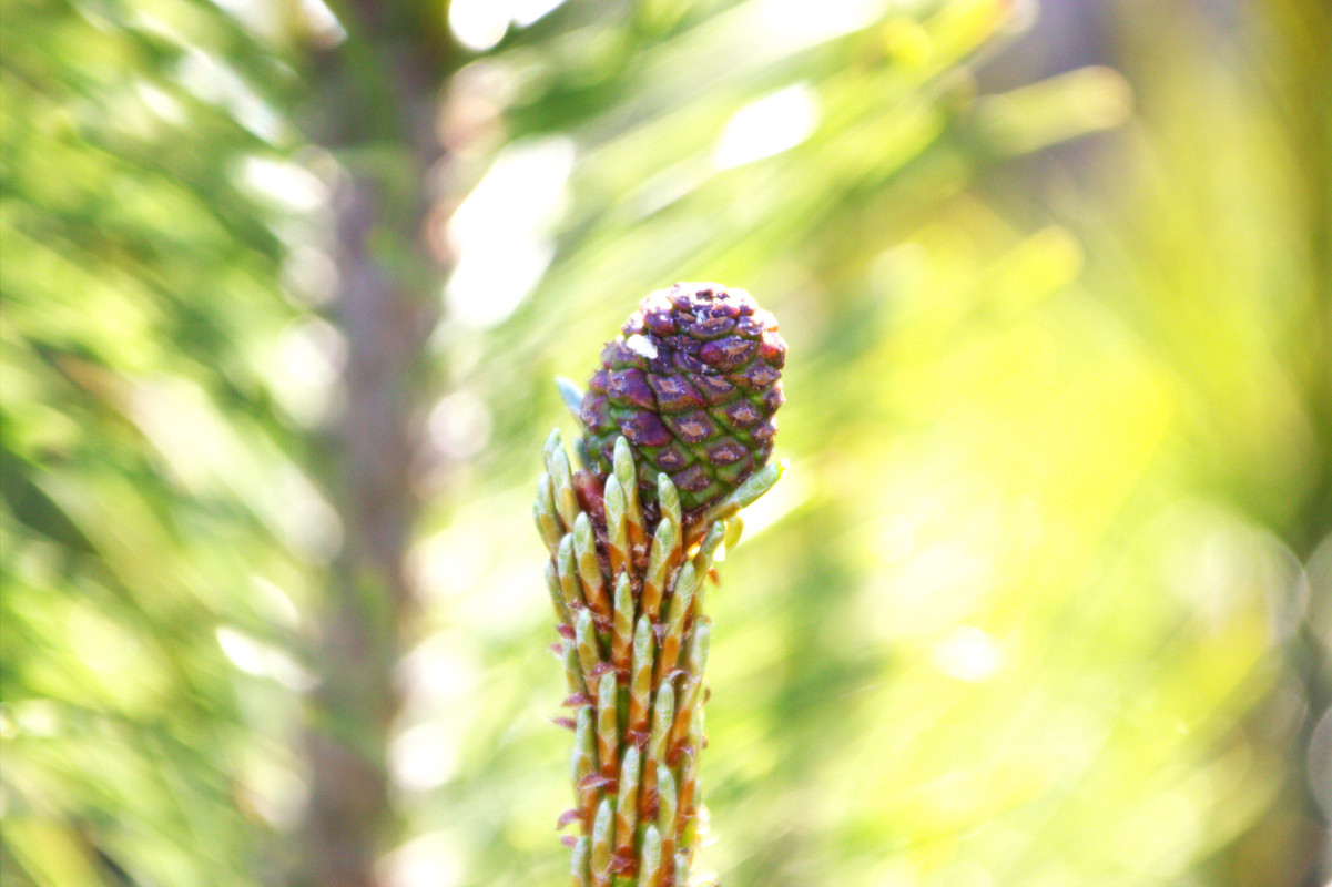 IMG 5074 — Postimages