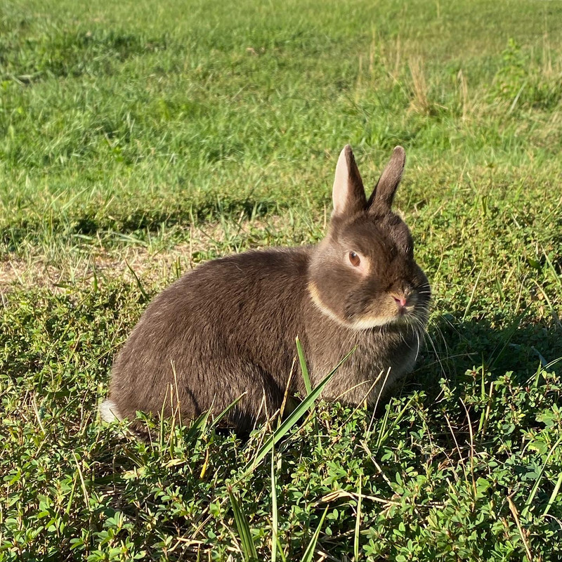 4908 C4 CF E8 F3 468 E A8 BF 55 FC36860 E54 — Postimages