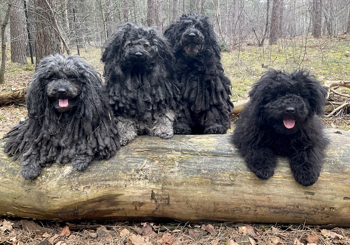 E028 ECD3 962 F 4829 9 C2 C 5 D348 B8 E1 E43 — Postimages