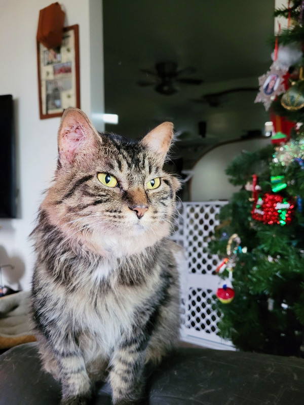 remove cone clean — Postimages