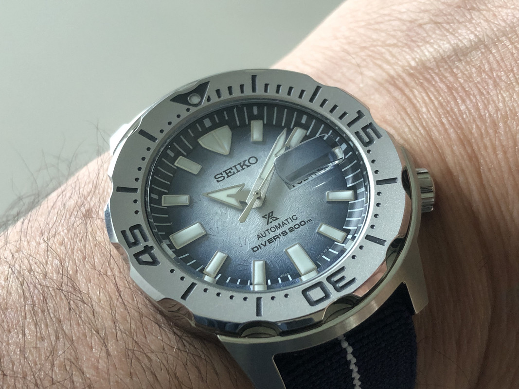 IMG 3252 — Postimages