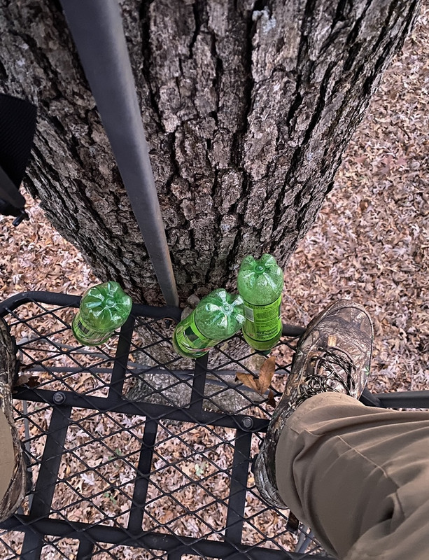 CF51 A766 25 F2 4322 B892 54 EAA1 AF075 D — Postimages