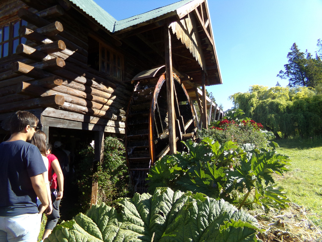 103 1446 — Postimages