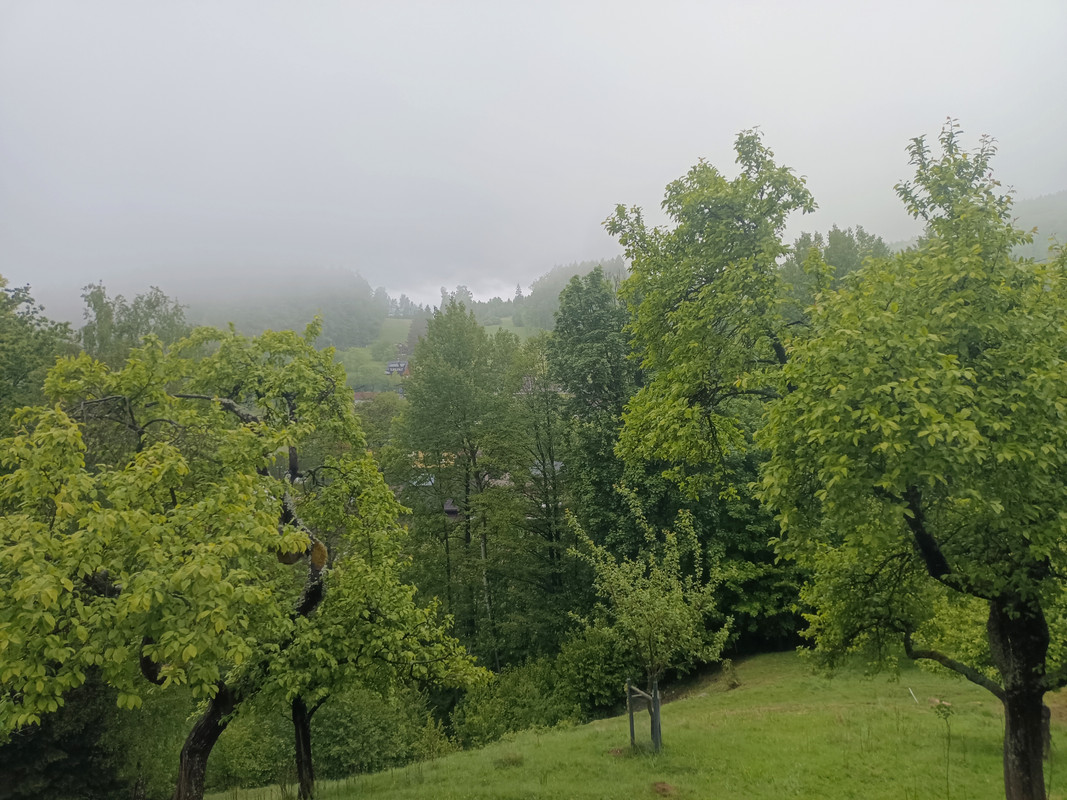 IMG 20250518 060039 — Postimages