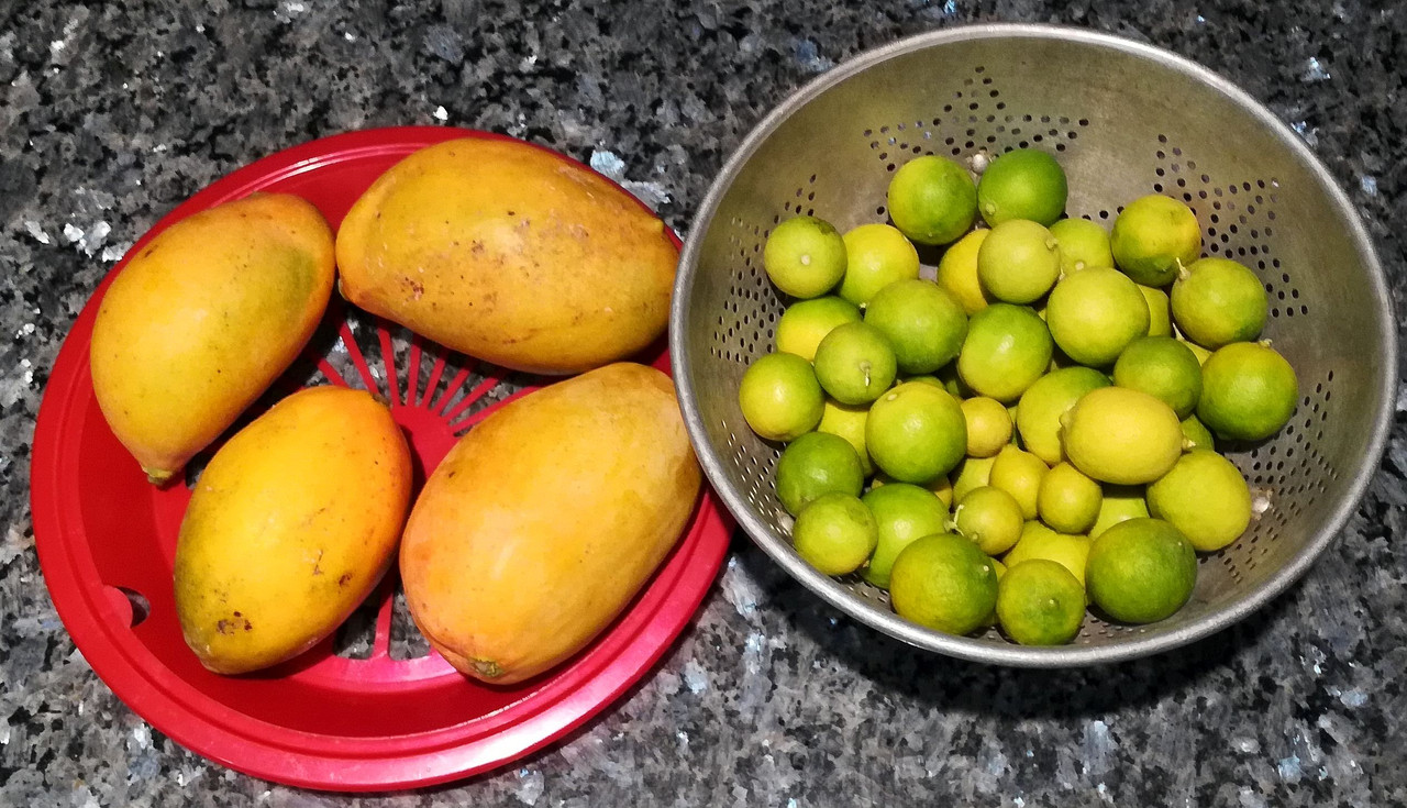 Pickering Limes Aug19 — Postimages