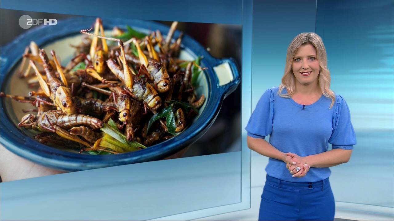 Britta Jaeger heute in Europa 13 09 2022 pp 51 — Postimages